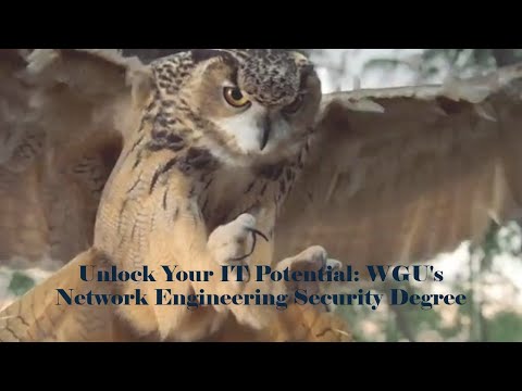 Unlock Your IT Potential: WGU's Network Engineering Security Degree.