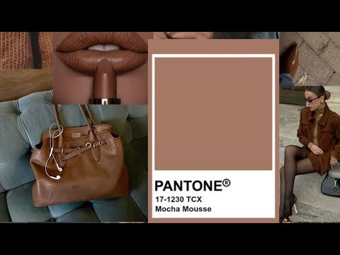 PANTONE COLOR OF THE YEAR 2025 - Mocha Mousse PANTONE 17-1230🤎 A soft warming & rich Brown hue✨
