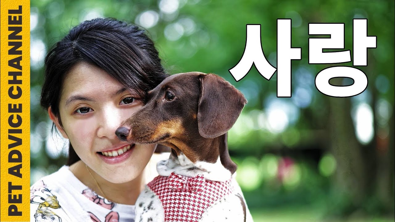 5 ways having a dog prepares you for motherhood