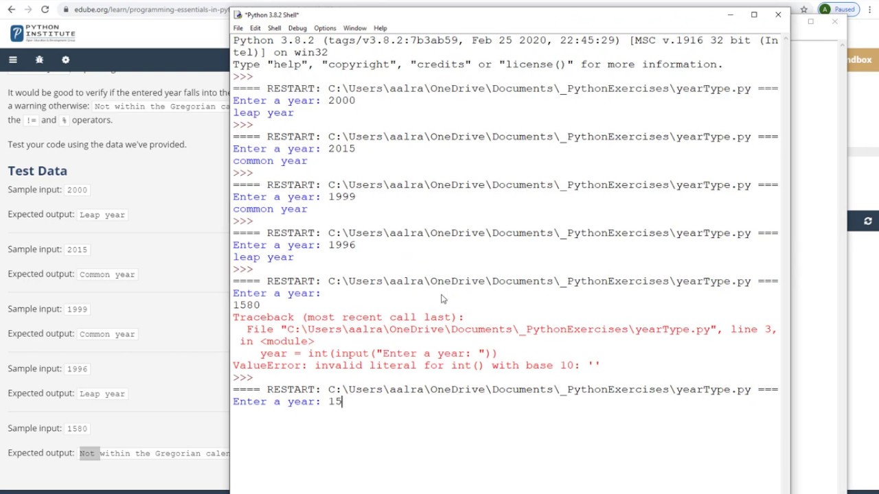 PCAP - Programming Essentials in Python course: Module 3 (Year Type)