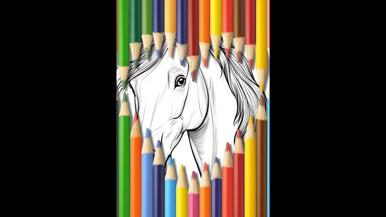 Simple Printable Coloring Book for Kids - Horse Themed