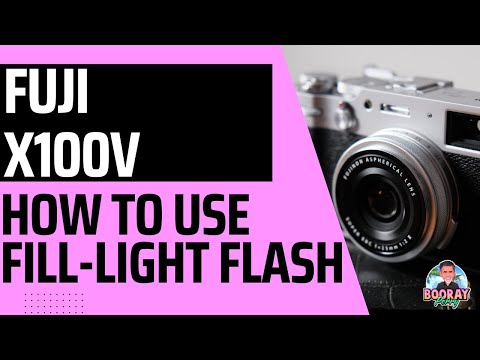 Fuji X100V: Fill-light flash (16643036)