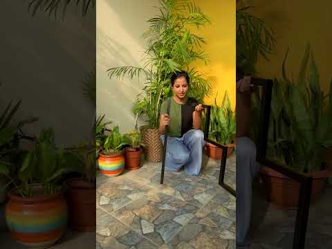 Test Tube Holder - Parakhnali Holder Latest Price, Manufacturers ...