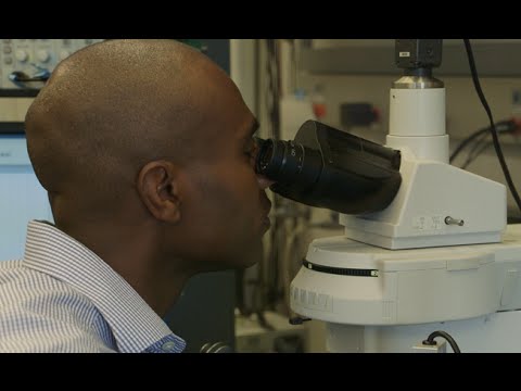 Medical Science – The Place To Be In The 21st Century