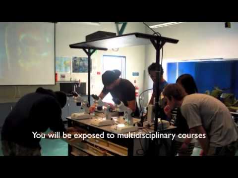 Environmental Engineering at UCI