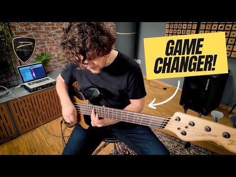 Dingwall SP1 5-String Bass Guitar | Gloss Dark Candy Green | | Reverb
