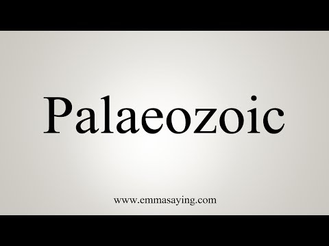 How To Pronounce Palaeozoic