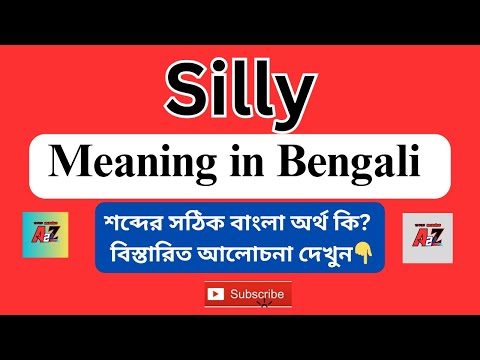 Silly Meaning In Bengali || silly শব্দের বাংলা অর্থ কী? || Silly Meaning in Bangla || Silly means ||