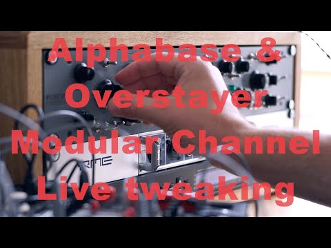 Overstayer Modular Channel Stereo Model 8755DS 2021 Grey | Reverb