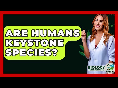 Are Humans Keystone Species? - Biology For Everyone