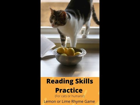 #7 😽 Teach Your Cat to Read - Rhyming Game #shorts