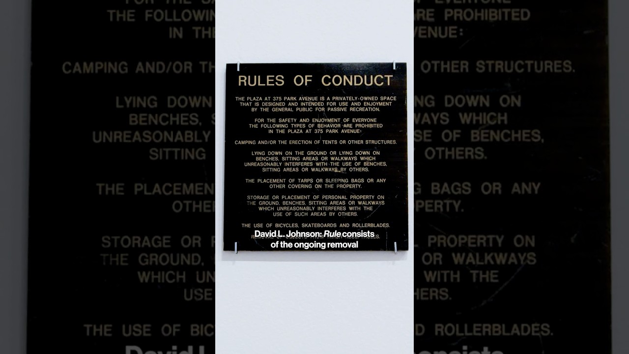 David L. Johnson | Audio Guide Teaser | Whitney Biennial 2026