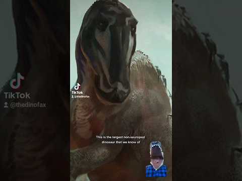 The Largest Non-Sauropod Dinosaur!
