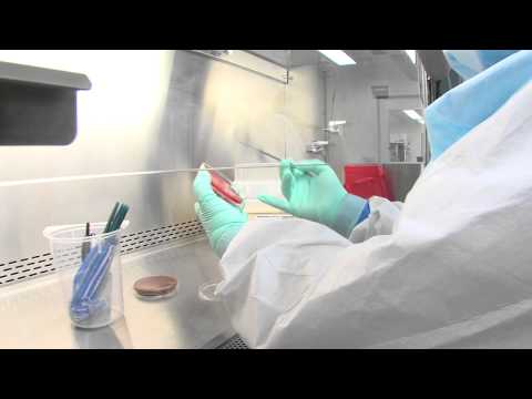 Texas Tech New BSL-3 Lab Provides More Opportunities