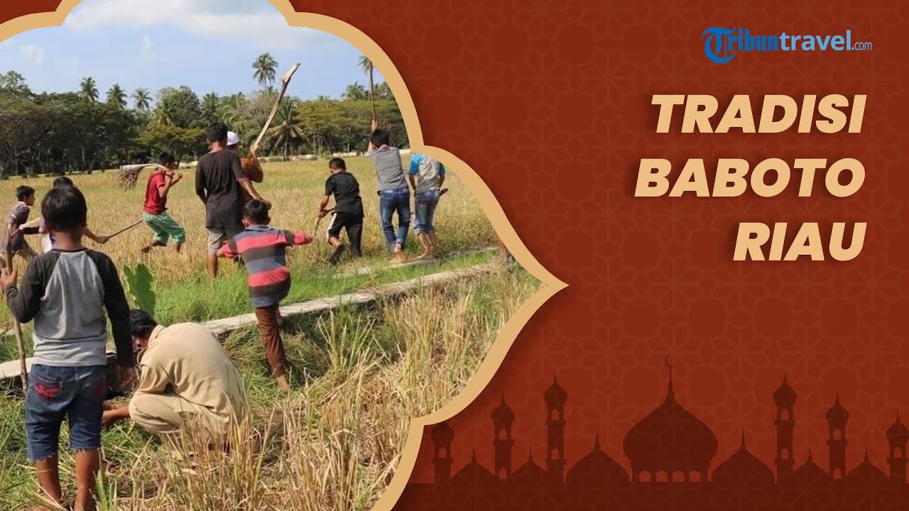 Mengulik Tradisi Batobo, Tradisi Sambut Para Perantau yang Kembali ke ...