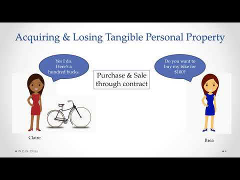 Business Law: Module 6A, Part A - Real and Personal Property (Acc. Grad. Cert.)