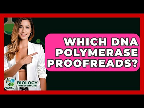 Which DNA Polymerase Proofreads? - Biology For Everyone