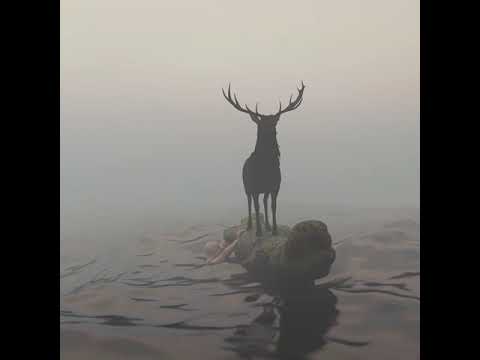 Habitat Loss.