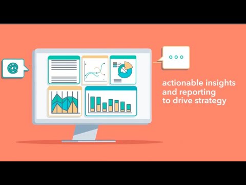 HubSpot | Insights for Everyone