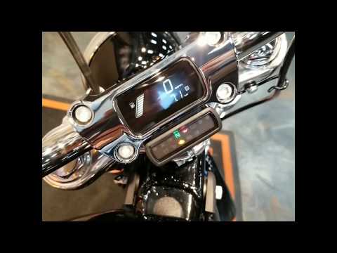 NEW!! 2020 Harley-Davidson Softail Standard--FXST