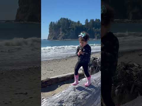 First Beach - La Push Washington