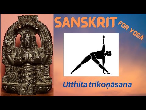 Utthita trikoṇāsana: extended triangle pose. Learn and pronounce the Sanskrit names of yoga poses.