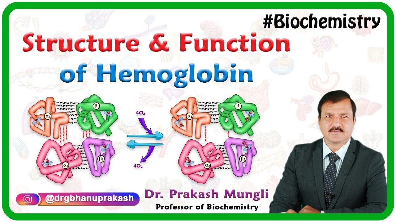 Structure & Function of Hemoglobin | Medical Biochemistry for USMLE Step 1