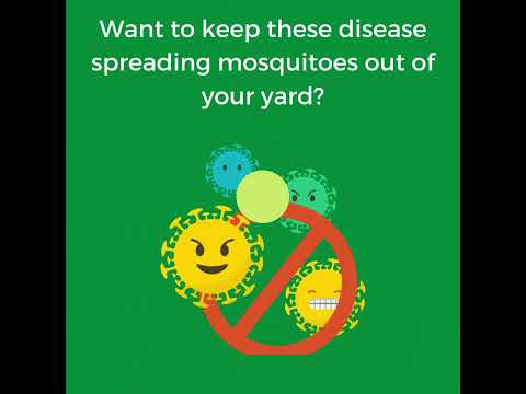 How to ensure #mosquitoes don't get in #bromeliads