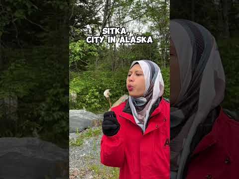 Sitka City in Alaska, USA | Travel Vlog