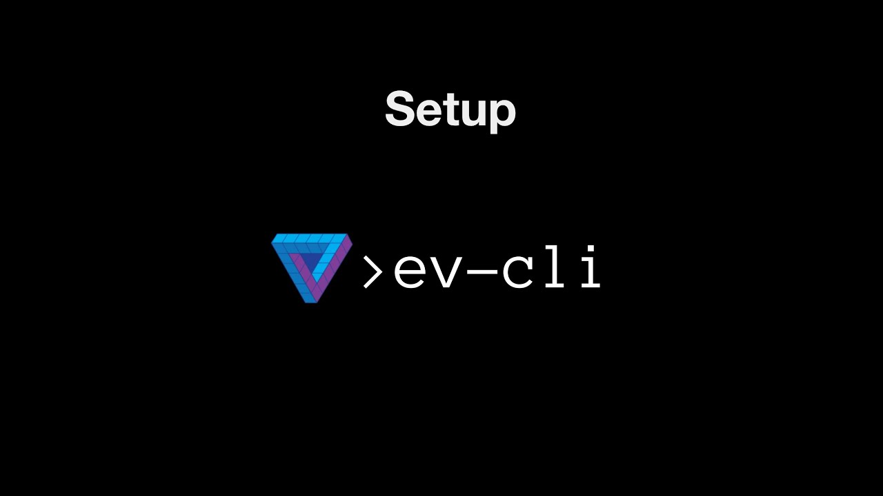 EthVigil CLI - Setup