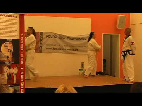 Young-Ung Taekwondo - Aufführung Gruppe Perchtoldsdorf