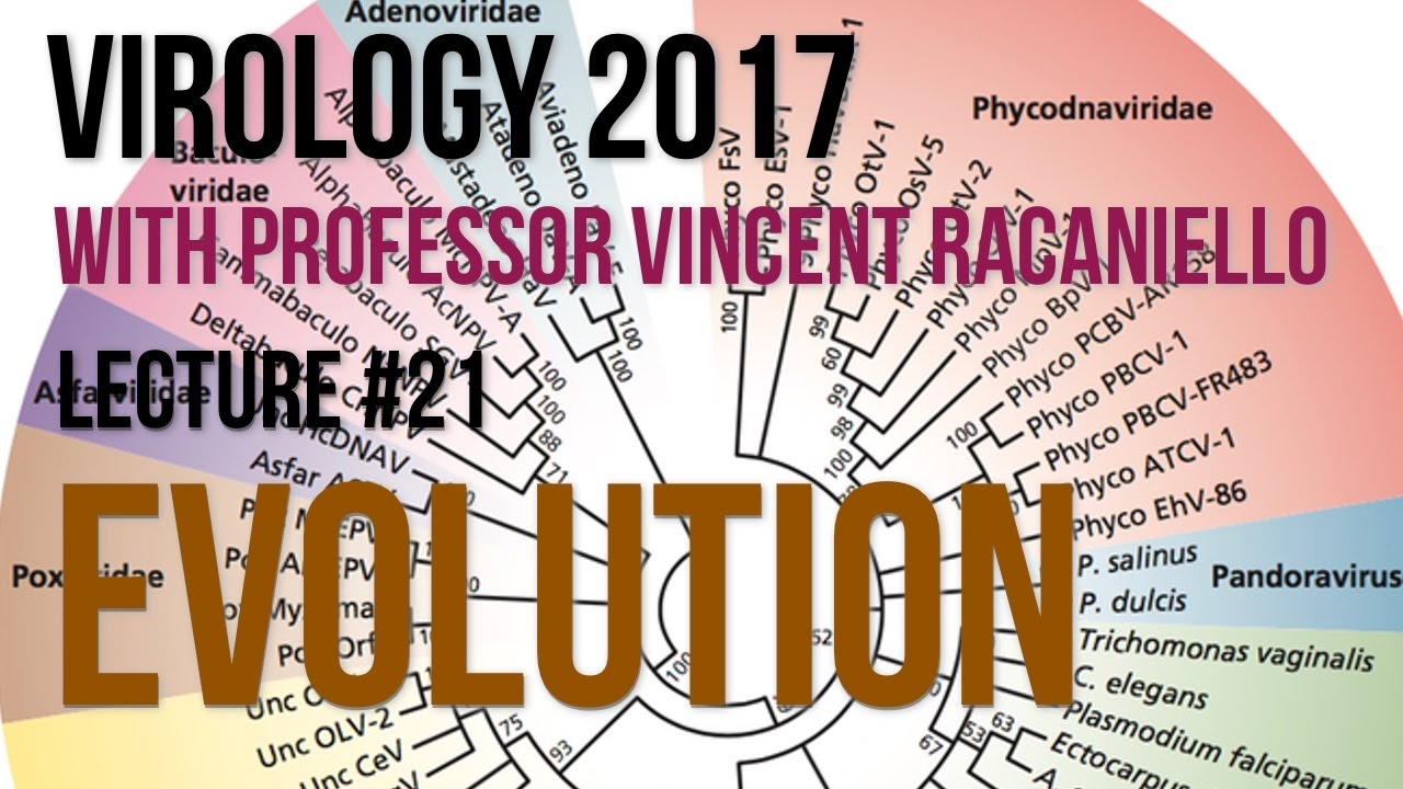 Virology Lectures 2017 #21: Evolution