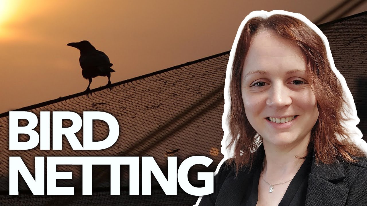 Designing bird netting structures