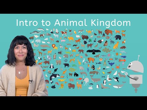 Intro to Animal Kingdom - Biology for Teens!