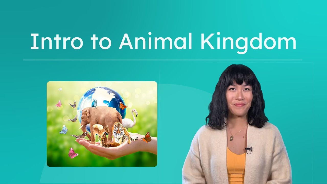 Intro to Animal Kingdom - Exploring Animal Diversity