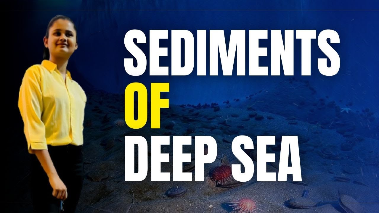 Sediment of Deep Sea | #deepsea #sediment #geology