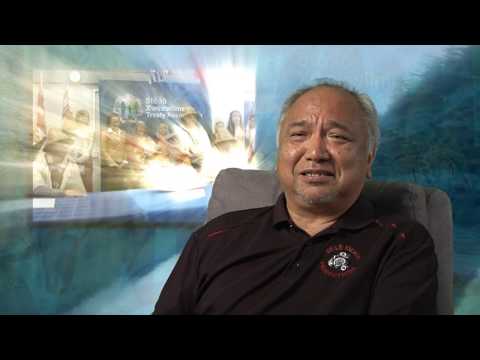 What is Treaty?