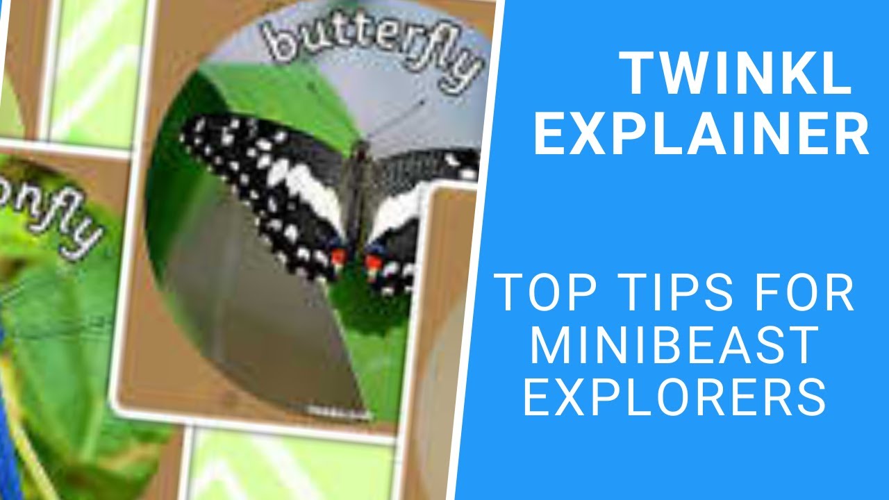 Top Tips for Minibeast Explorers