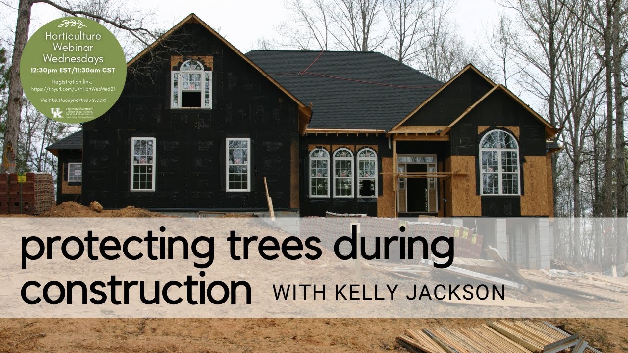 Protecting Trees During Construction