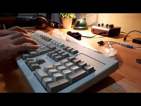 NMB RT8756CGR (NOS) Typing Test | Hi-Tek 725 Black Clicky Space Invader