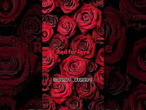 Different colour of Roses with Meanings🌹 #ytshorts#love #beautifulrose#trendingmusic #viral#1million