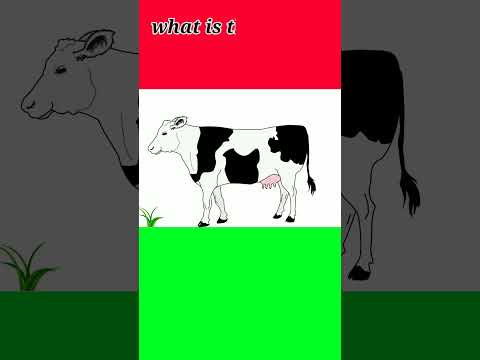 Short Learning video || Cow spelling || Cow Sound with pictures