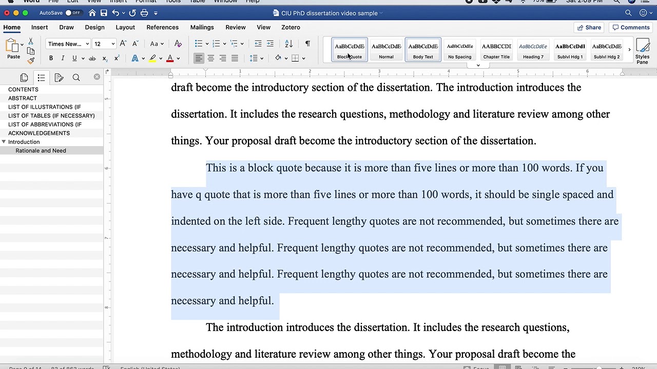 How to use the CIU dissertation template