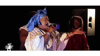 10 Things to Do in Goundam Lake, Mali | Gems.Travel