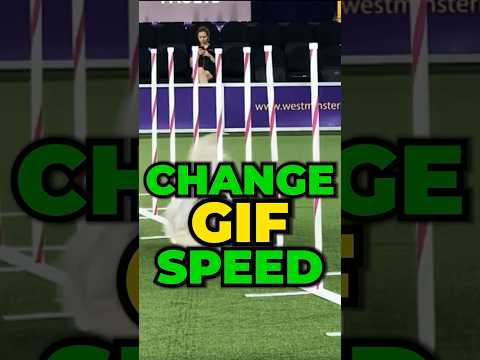 Change a GIF's speed | Flixier ⏩