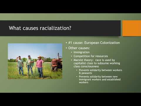 Online Lecture Race and Ethnicity in Politics