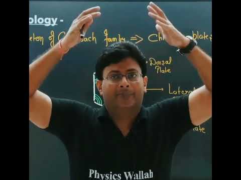 The Difference Between Dorsal and Ventral (Exterior and Posterior) #knowledge #MD sir
