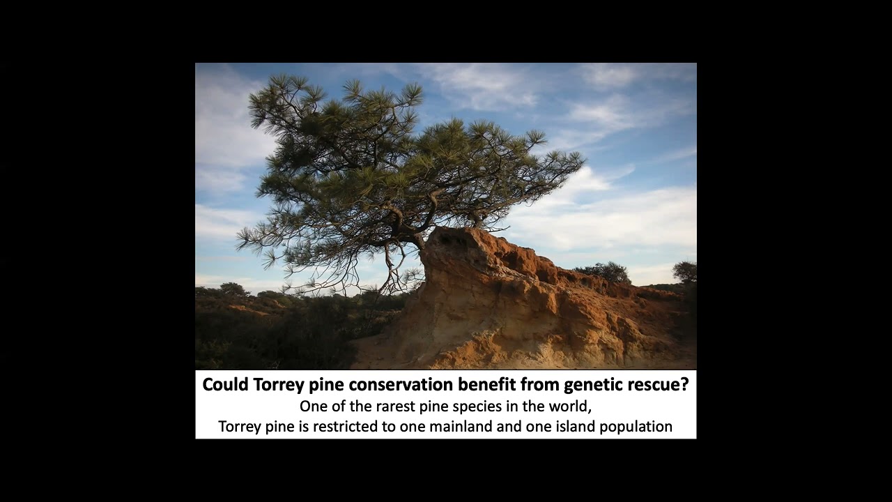Leveraging the conservation genetics toolkit: applying genomic and phenotypic data to rare species