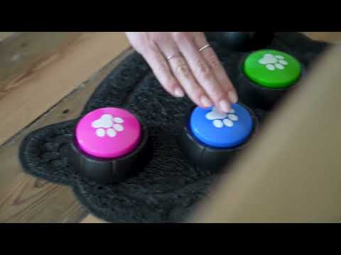 Recordable Dog Buttons – Set of 4 by #winning