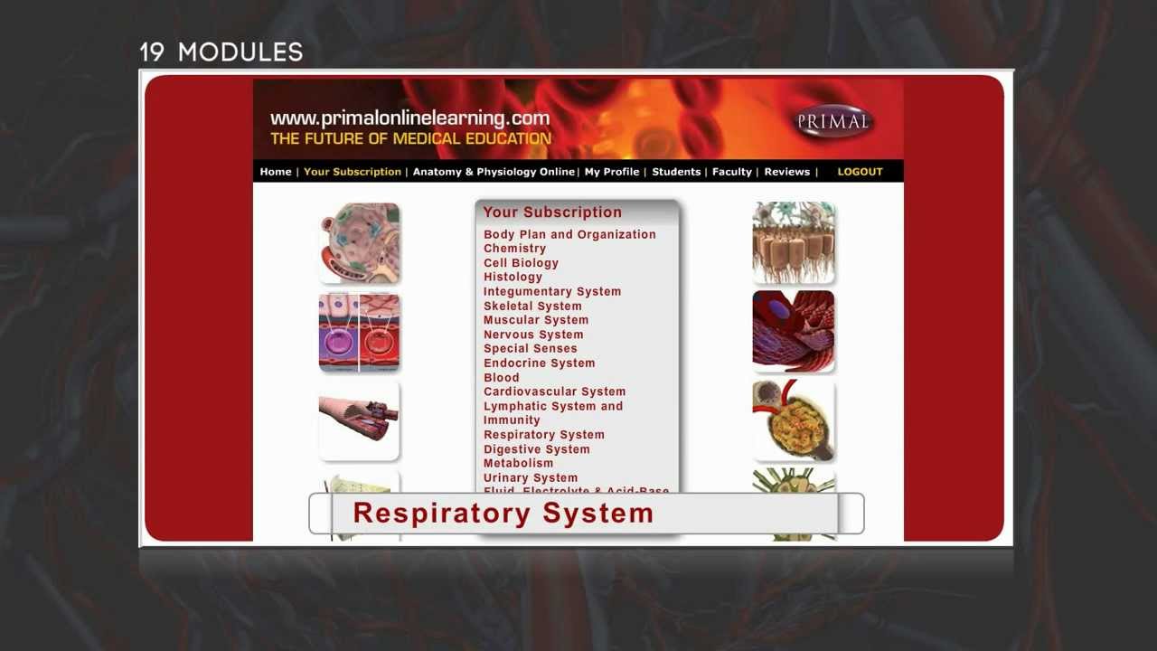 Anatomy and Physiology Online - Primal Online Learning